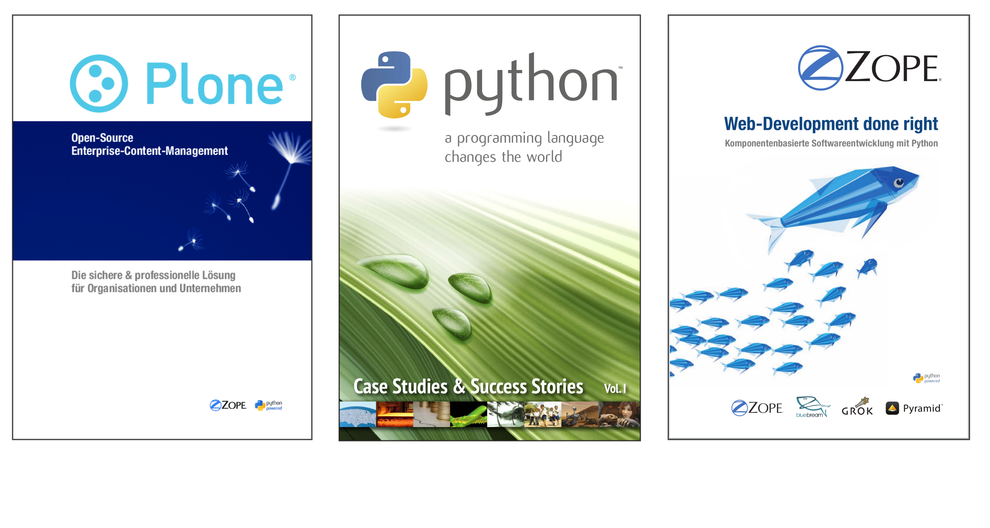 In die Python Software Foundation aufgenommen | Werbetexter Hasecke In die Python Software Foundation aufgenommen | Werbetexter Hasecke